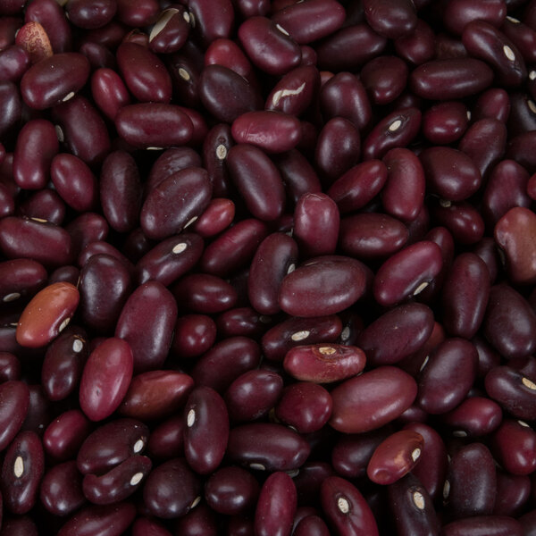 Dried Small Red Beans - 20 lb.