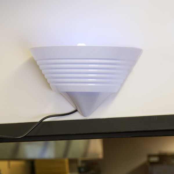 Zap N Trap White Wall Sconce Insect Light Trap with Glue Board - 13W