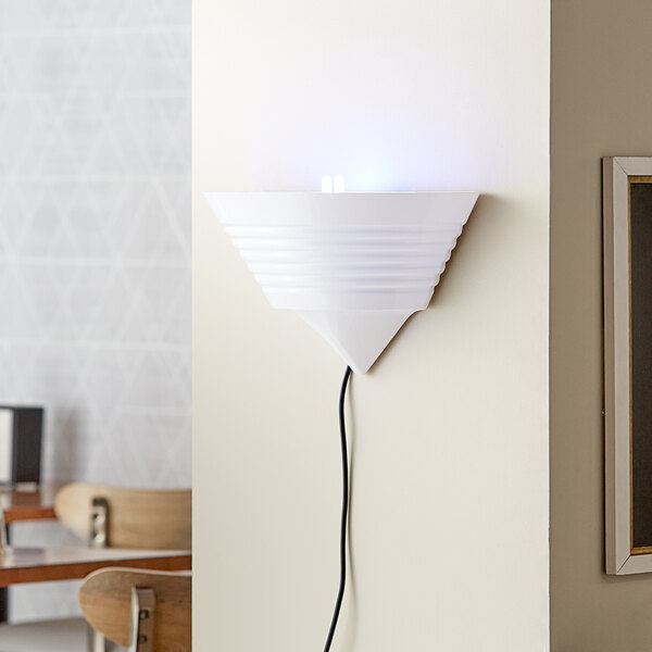 Zap N Trap White Wall Sconce Insect Light Trap with Glue Board, 800 sq ...