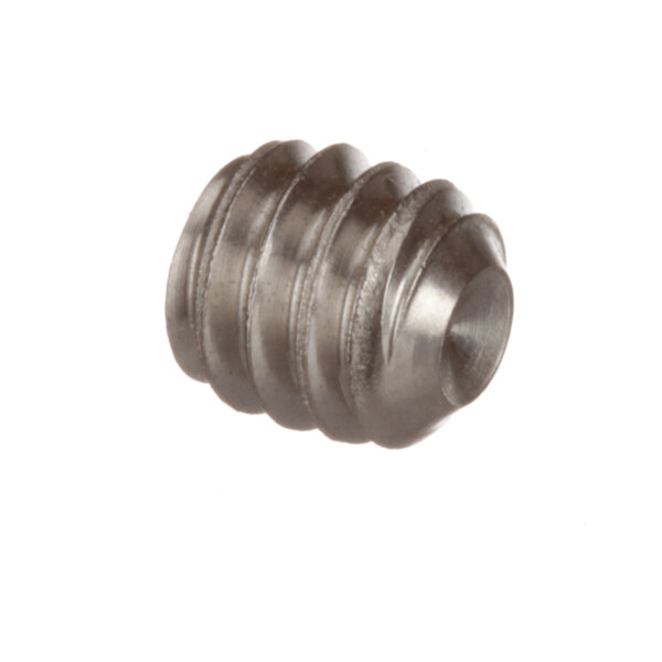Champion 100771 Screw Set 1/4