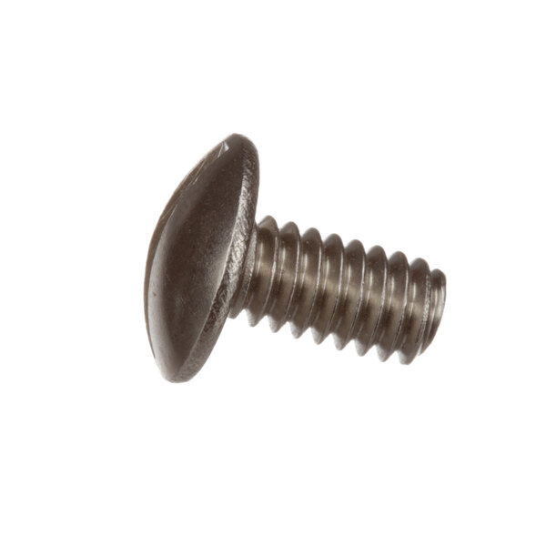 Champion 100073 Screw