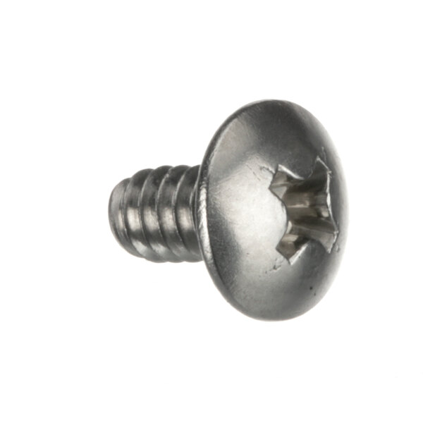 Delfield 9321250 Screw,#6-32x.25,S-P-Tr-M