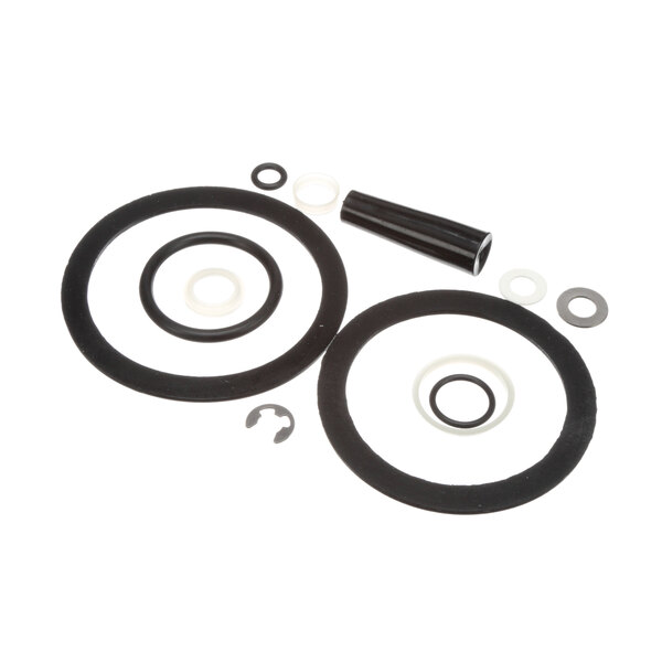Encore D10-0010 Repair Kit