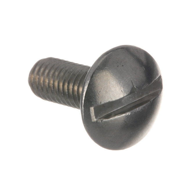 Crown Steam 9423-1 Stainless Steel Door Screw 10/32 X 1/2"