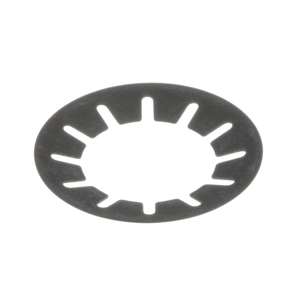 Bizerba 000000050001690000 Cup Spring/Washer