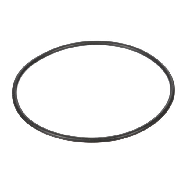 Everpure EV307119 Replacement O-Ring