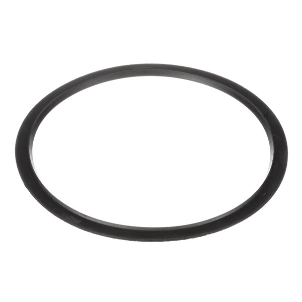 Taylor 021662 Door Gasket 5.200 Id