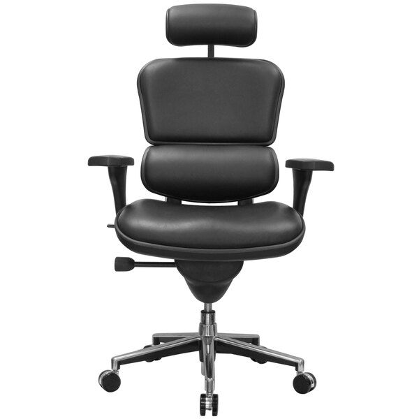 Eurotech Seating LE9ERG Ergohuman Black Leather High Back Swivel Office ...