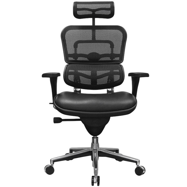 Eurotech Seating LEM4ERG Ergohuman Black Leather / Mesh High Back ...