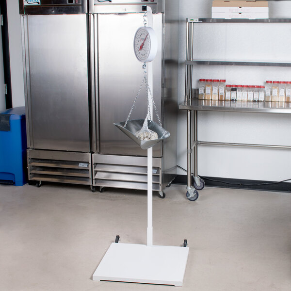 Cardinal Detecto 40 lb. Hanging Scoop Scale with Dual-Faced Dial and ...