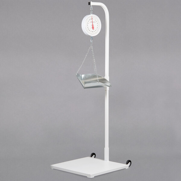 Cardinal Detecto 40 lb. Hanging Scoop Scale with Dual-Faced Dial and ...