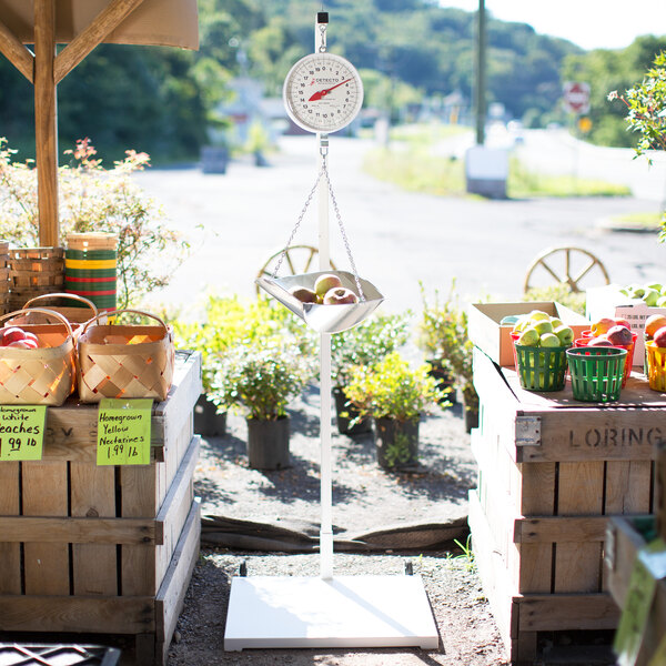 Cardinal Detecto 40 lb. Hanging Scoop Scale with Portable Stand