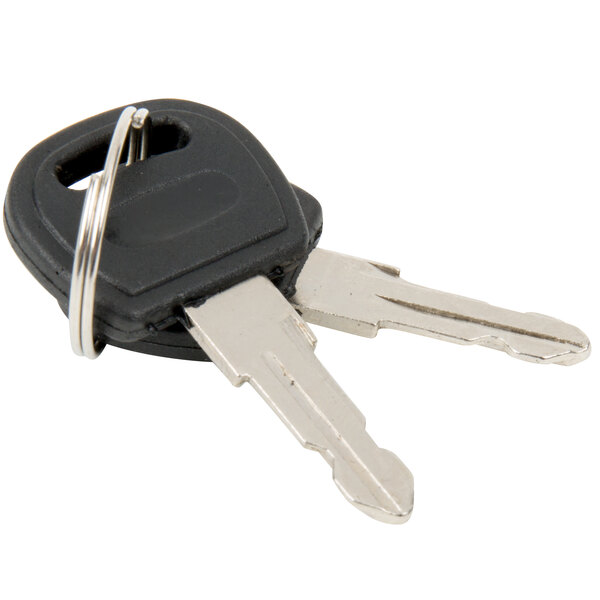 Lavex Stainless Steel Paper Towel and Toilet Paper Dispenser Key Set