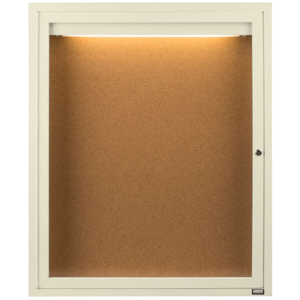 Aarco DCC2418RIIV 24" x 18" Enclosed Hinged Locking 1 Door Powder ...