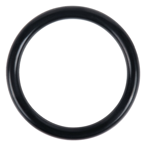 Fisher 73596 Waste Valve O-Ring