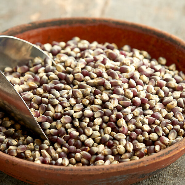 Amish Country Blue Butterfly Popcorn Kernels 50 lb.