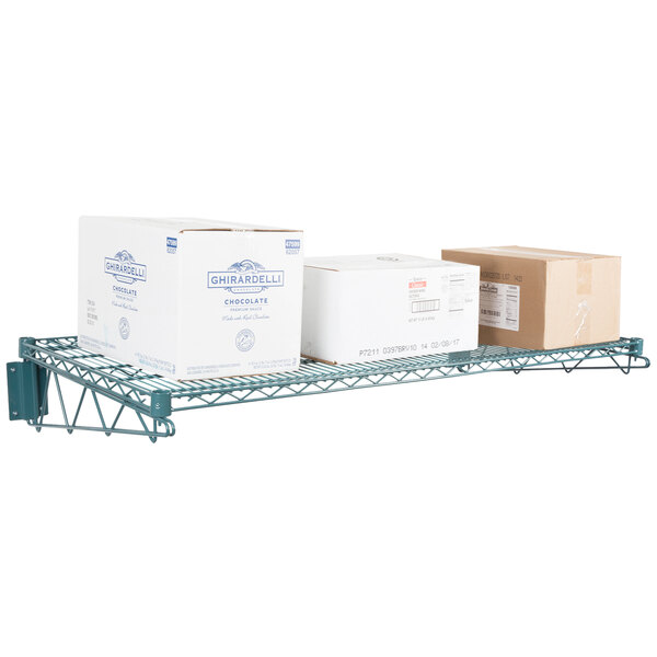 Regency 24" x 48" Green Epoxy Wire Wall Mount Shelf