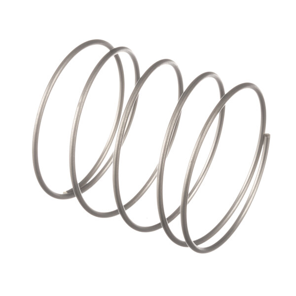 Rinnai 46608 Thermal Sensing Unit Spring