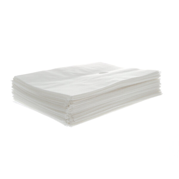 Anets P9315-80 Filter Envelope 12.25x17 - 100/Case
