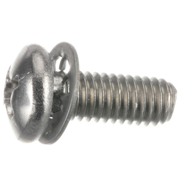 Ready Access 10010107 Screw W/Lock Washers