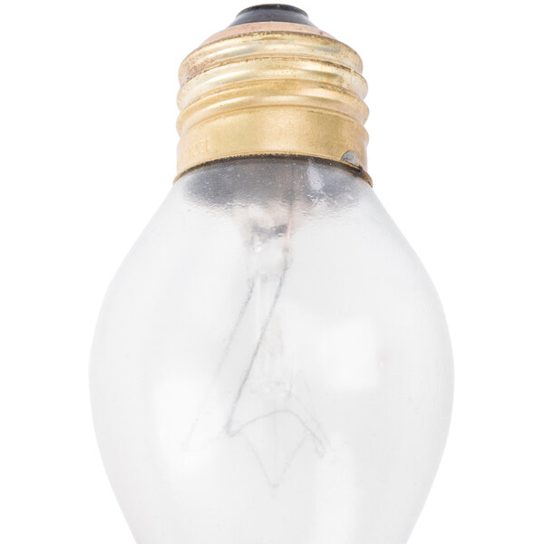 60 Watt Shatterproof Light Bulb - 120V - 4" x 2"