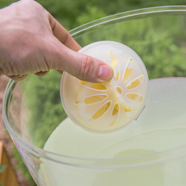 Choice 4" x 2 1/2" Beverage Dispenser Fruit Infuser Ball