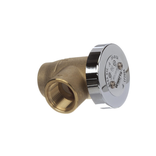 Gaylord 10179 Vacuum Breaker 3/4"