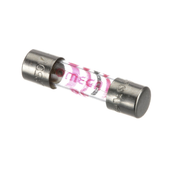 Carpigiani IC576200285 Fuse Omega Sf 5X20Mm F 2A250V