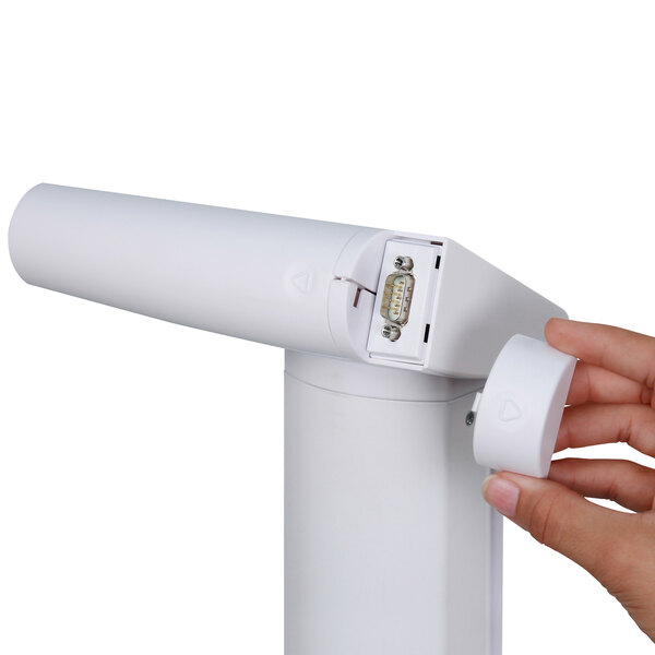 Cardinal Detecto solo 550 lb. Digital Scale with Mechanical In-Line ...