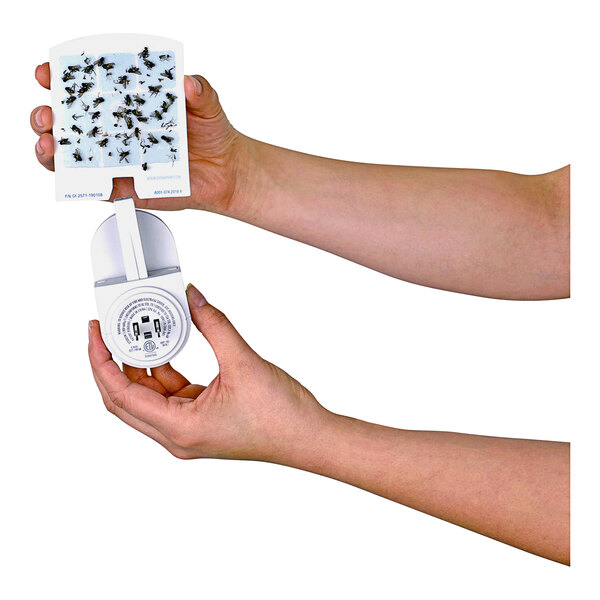 Indoor Fly Trap (Plug-In) - Buy Bulk at WebstaurantStore