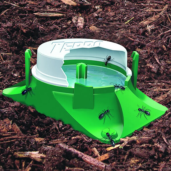 Terro T1804-6 Outdoor Liquid Ant Bait - 4/Pack