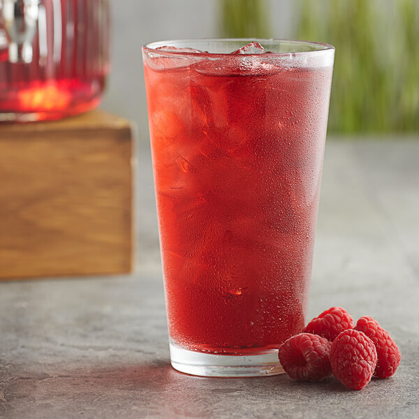 Bromley 1 Gallon Raspberry Herbal Iced Tea Filter Bags - 48/Case