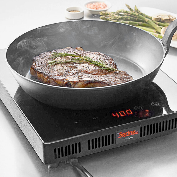 Spring USA SM-300LP LoPRO Slim-line Hold-Only Induction Warmer - 110 ...