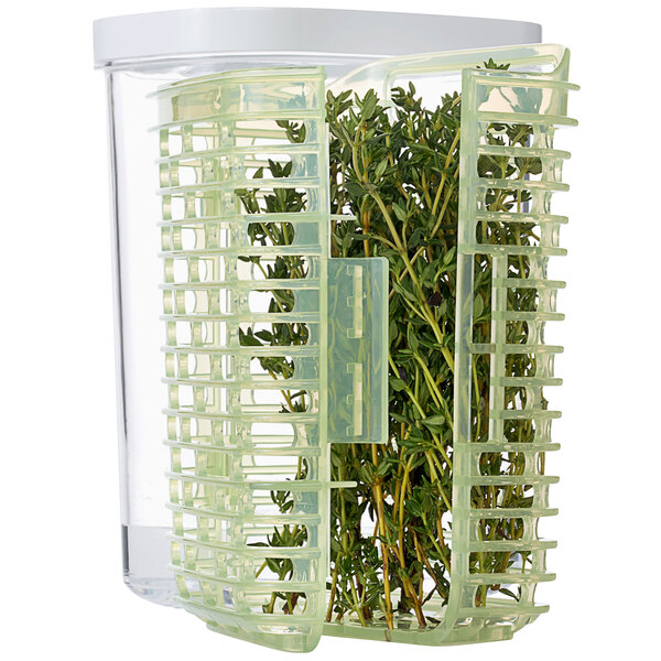 OXO GreenSaver Small Clear Rectangular Polypropylene Herb Keeper