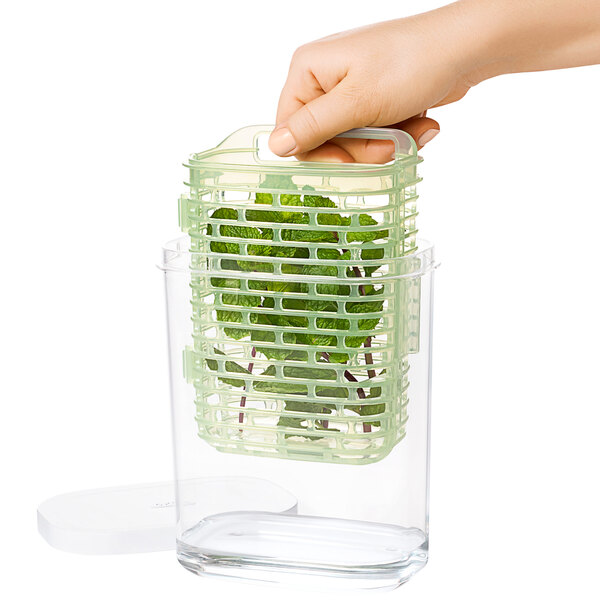 OXO GreenSaver Small Clear Rectangular Polypropylene Herb Keeper