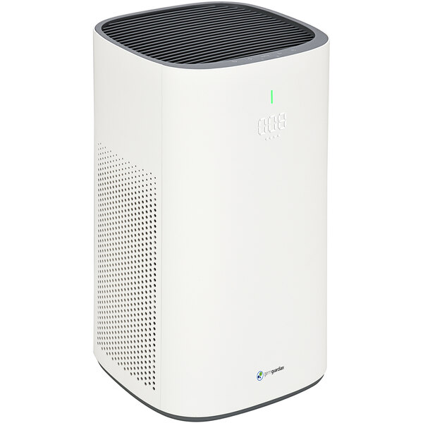 Guardian Technologies Germ Guardian 4-Speed Air Purifier with HEPA ...