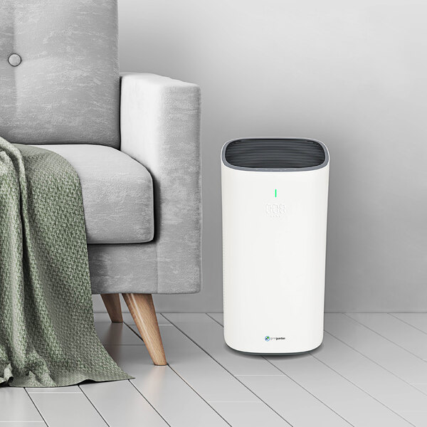 Guardian Technologies Germ Guardian 4-Speed Air Purifier with HEPA ...