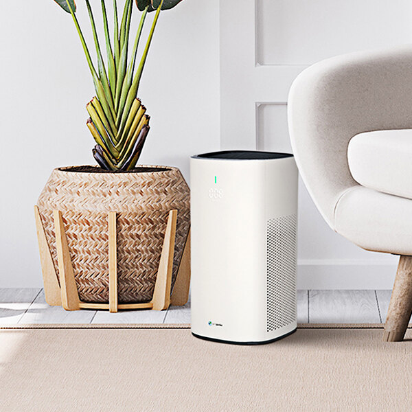 Guardian Technologies Germ Guardian 4-Speed Air Purifier with HEPA ...