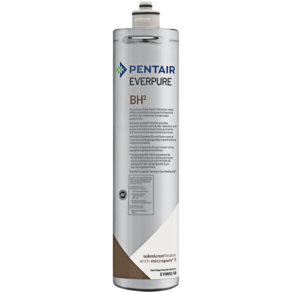 Everpure EV961251 BH2 Filter Cartridge - 0.5 Micron, 0.5 GPM
