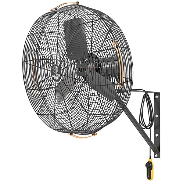 AirEye 24" Midnight Black Wall-Mounted Fan - Big Ass Fans