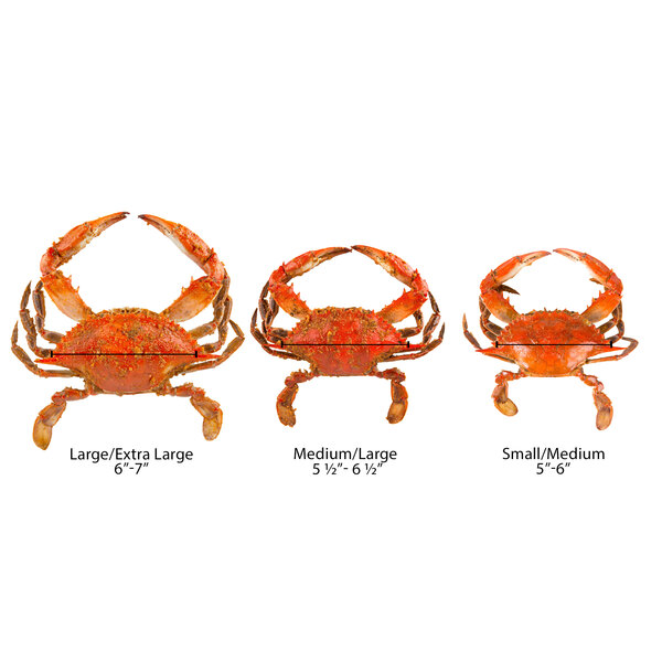 Chesapeake Crab Connection Medium/Large 5 1/2" - 6 1/2" Non-Seasoned ...