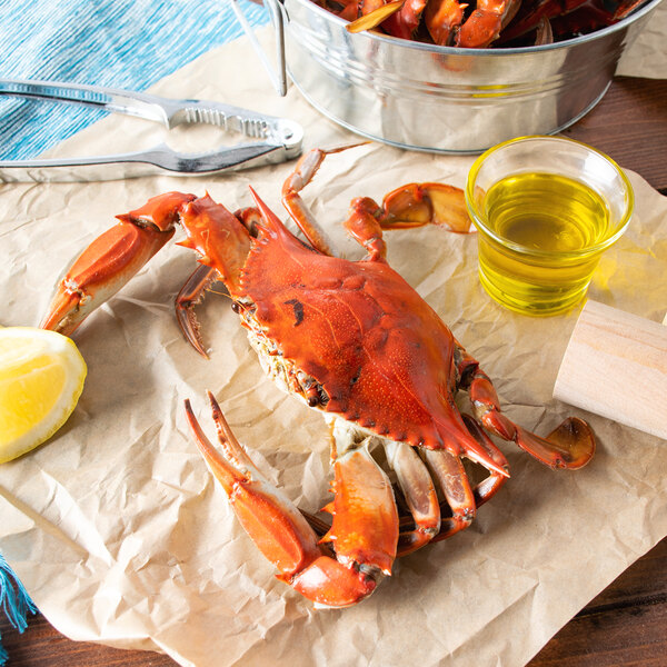 Chesapeake Crab Connection Medium/Large 5 1/2" - 6 1/2" Live Blue Crab ...