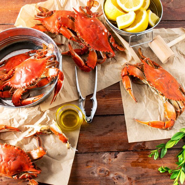 Chesapeake Crab Connection Small/Medium 5" - 5 1/2" Live Blue Crab - 1 ...