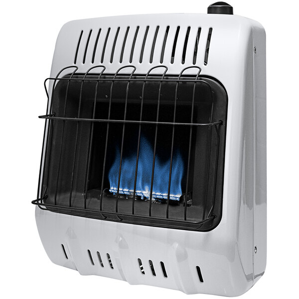 HeatStar Vent-Free Blue Flame Liquid Propane Space Heater with ...
