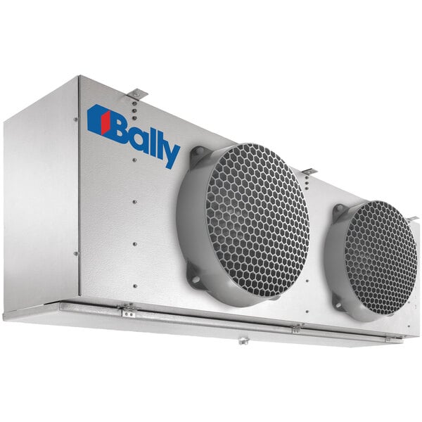 Bally Custom Walk-In Freezer with Remote Refrigeration
