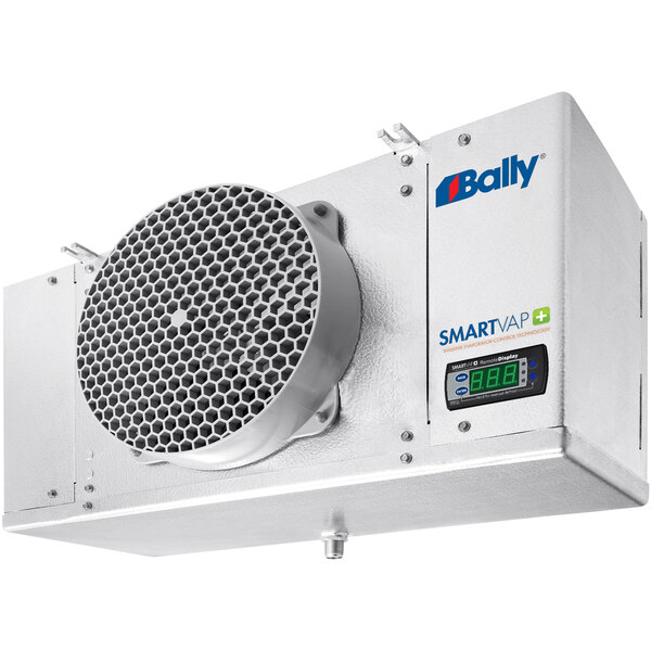 Bally Custom Walk-In Freezer with Remote Refrigeration