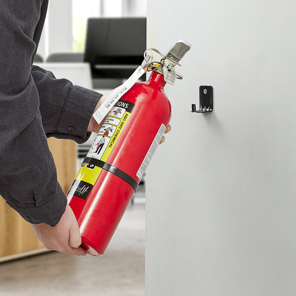 Badger Advantage ADV-550 5 lb. Dry Chemical ABC Fire Extinguisher with ...