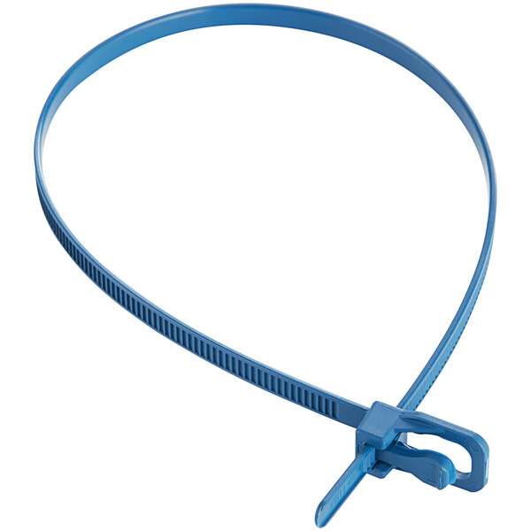Retyz Metal Detectable EveryTie Blue 12" 50 lb. Tensile Strength (222N ...