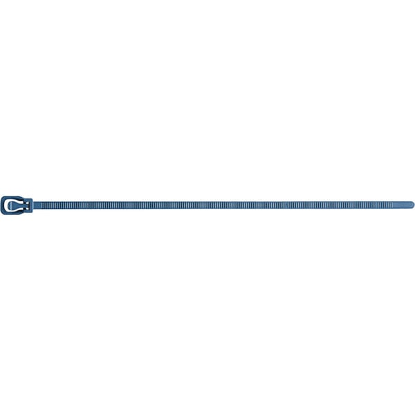 Retyz Metal Detectable EveryTie Blue 10" 50 lb. Tensile Strength (222N ...