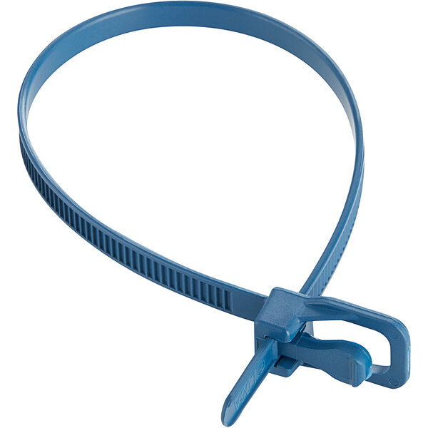 Retyz Metal Detectable EveryTie Blue 8" 50 lb. Tensile Strength (222N ...